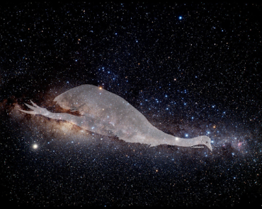 The Underdogs of the Night Sky: Lesser-Known Constellations ...