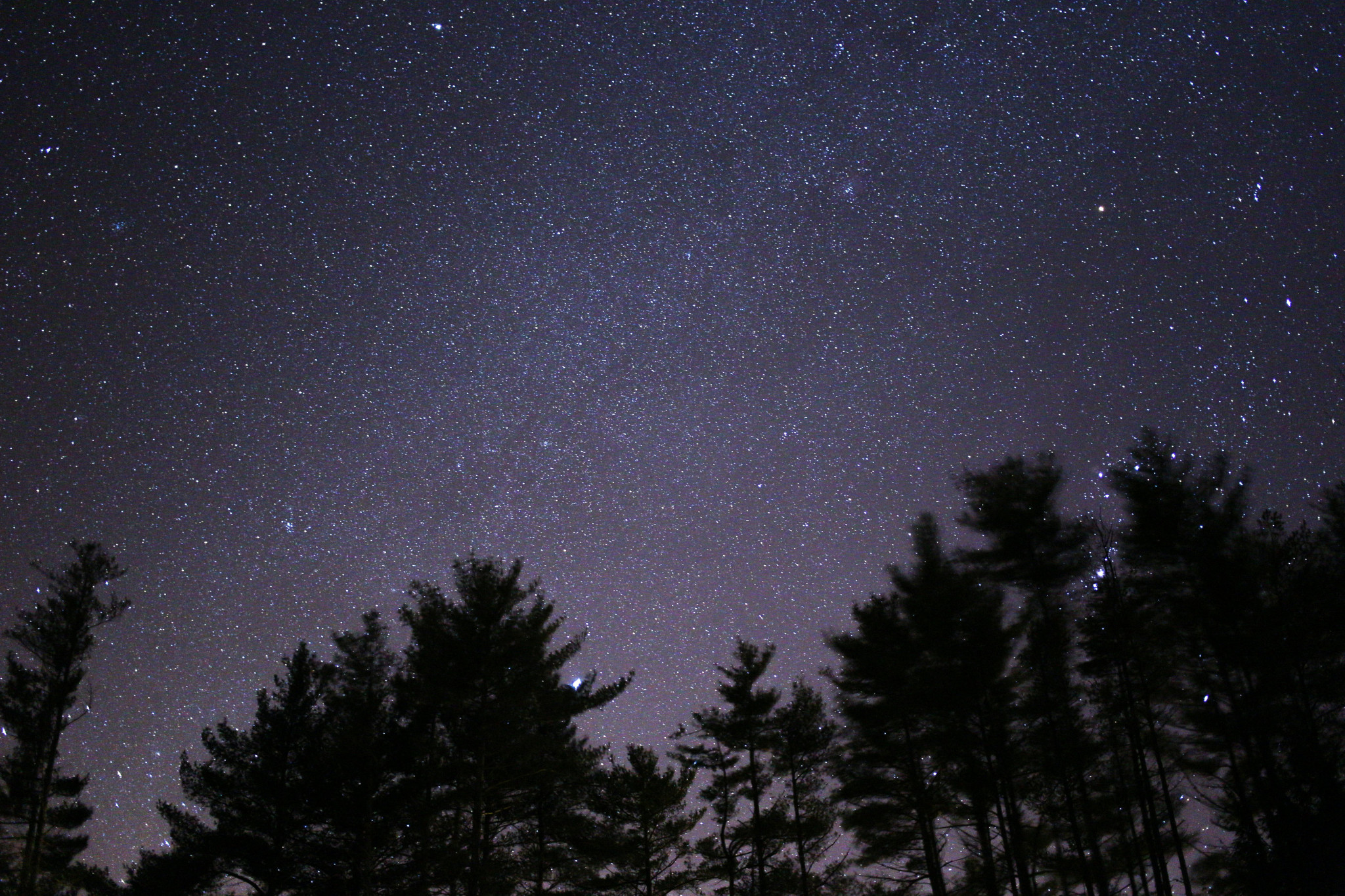 Top 6 Places in India with best night sky for stargazing and ...