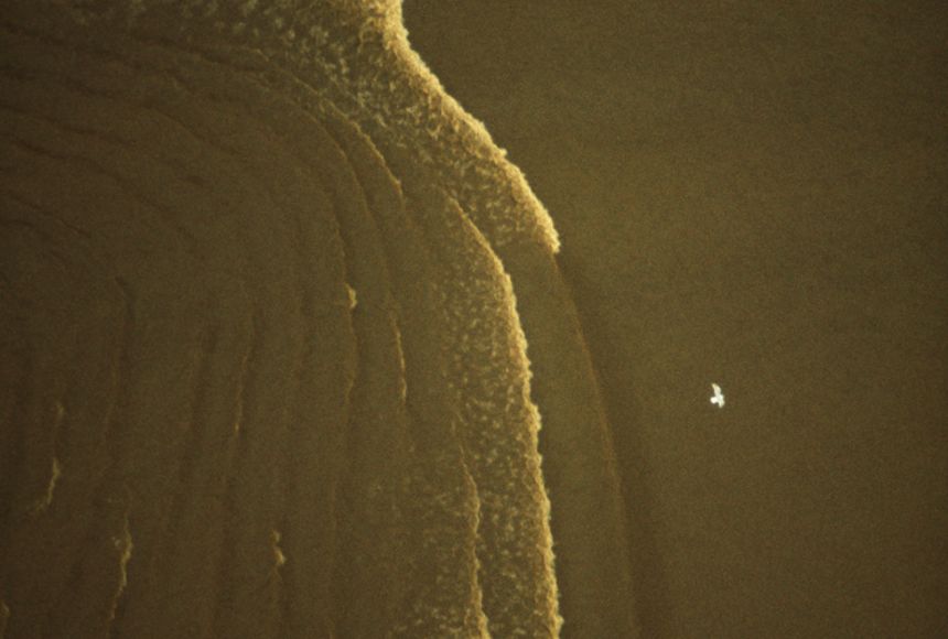 Moon Tides 101: The Magic of Moon's Gravitational Pull On Earth