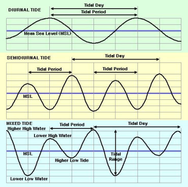 Moon Tides 101: The Magic of Moon's Gravitational Pull On Earth